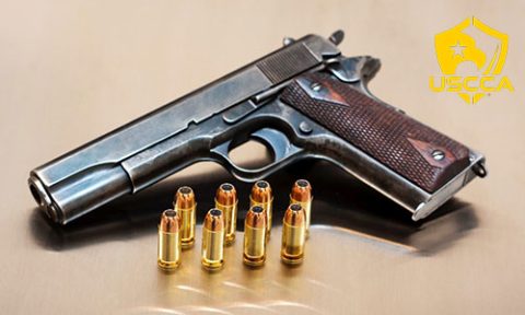 TCOLE FIREARMS INSTRUCTOR | RDI